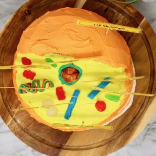 How to Make an Edible Animal Cell Cake - Grace Like Rain Blog