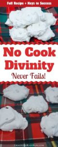 Easy No Cook Divinity Candy Recipe - Grace Like Rain Blog