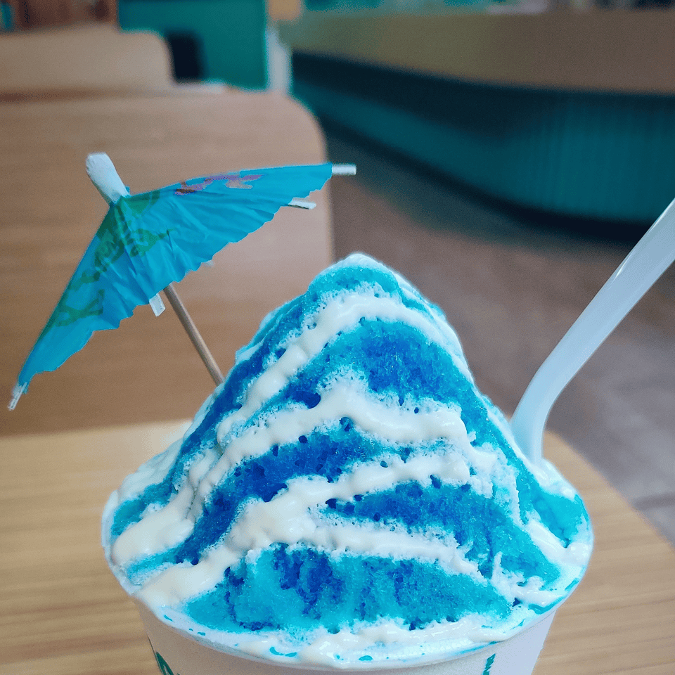 Making Shaved Ice At Home - Get Started With These Essential Supplies ...