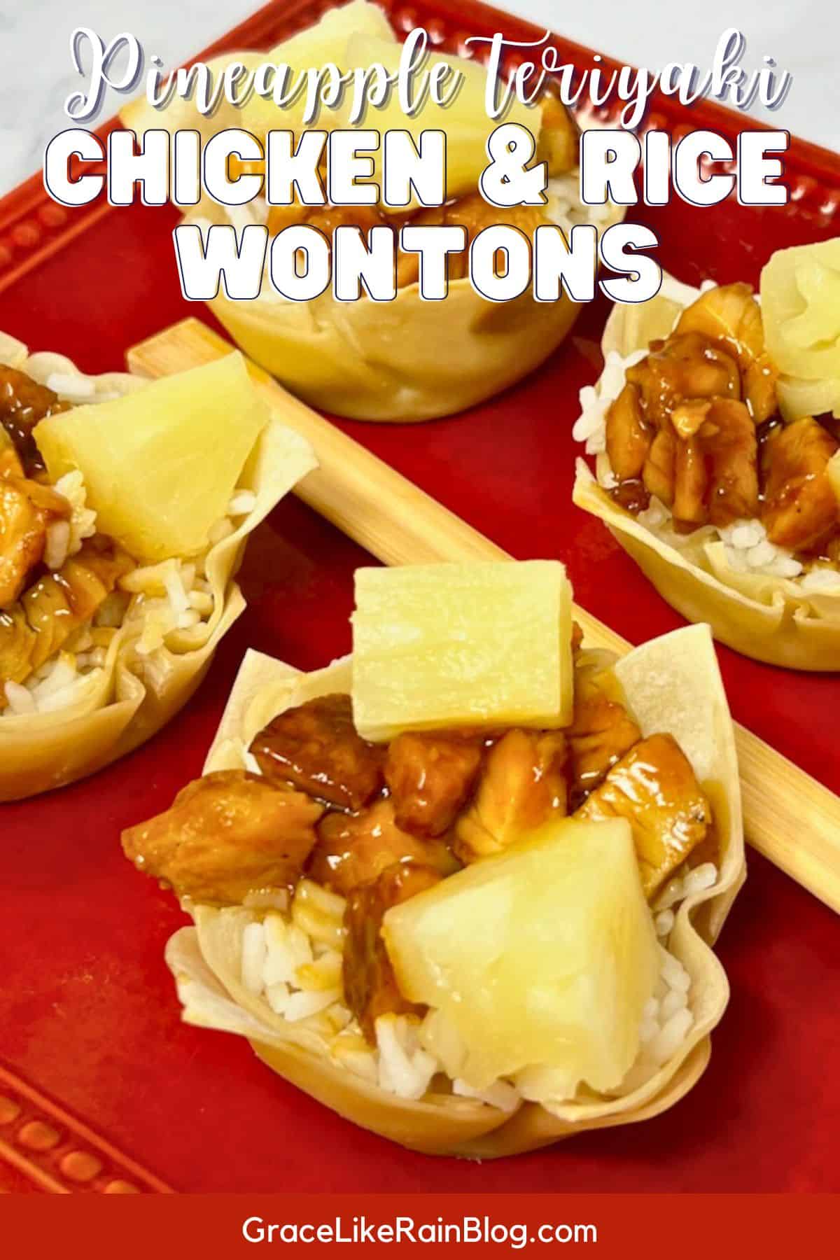 Pineapple Teriyaki Chicken and Rice Wontons Recipe - Grace Like Rain Blog