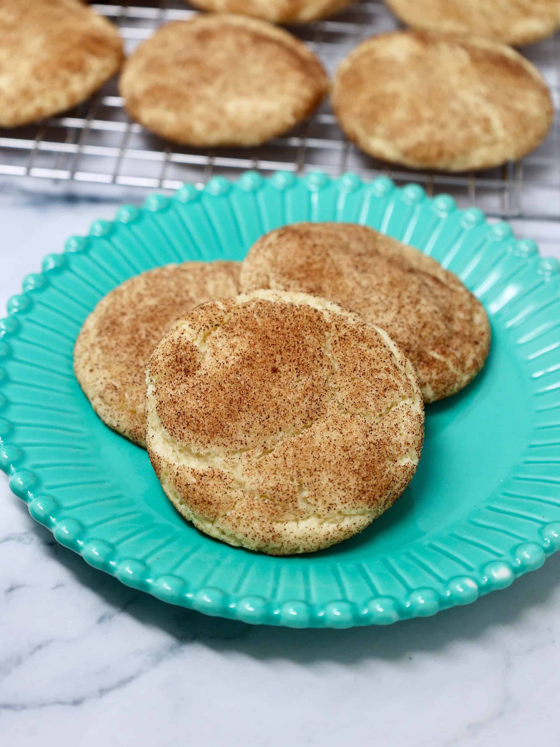 Snickerdoodles - Grace Like Rain Blog