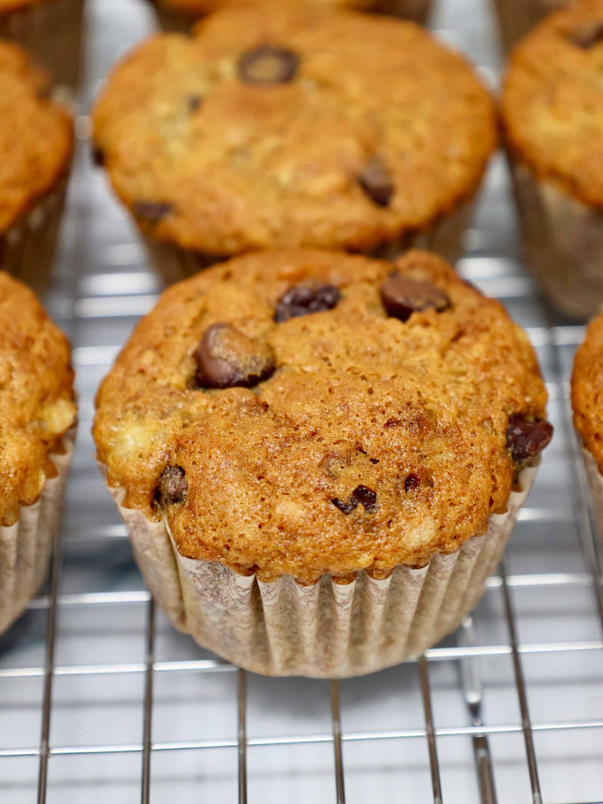 Easy Banana Walnut Chocolate Chip Muffins (The Best Moist Recipe ...