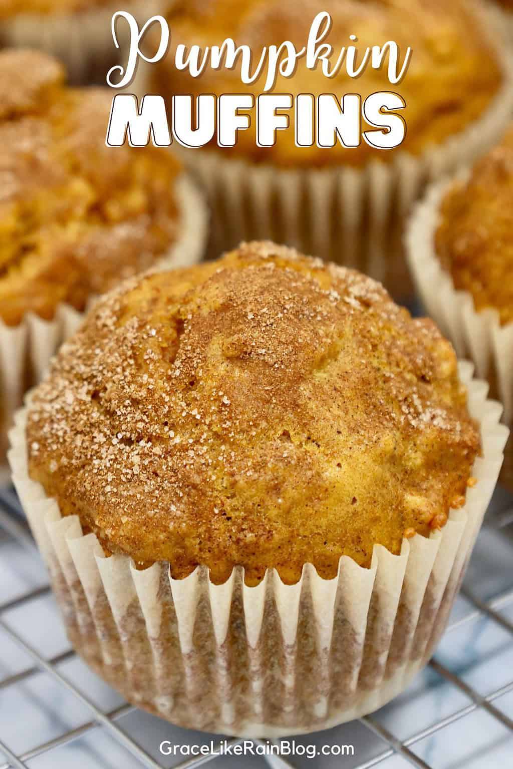 Pumpkin Muffins - Grace Like Rain Blog