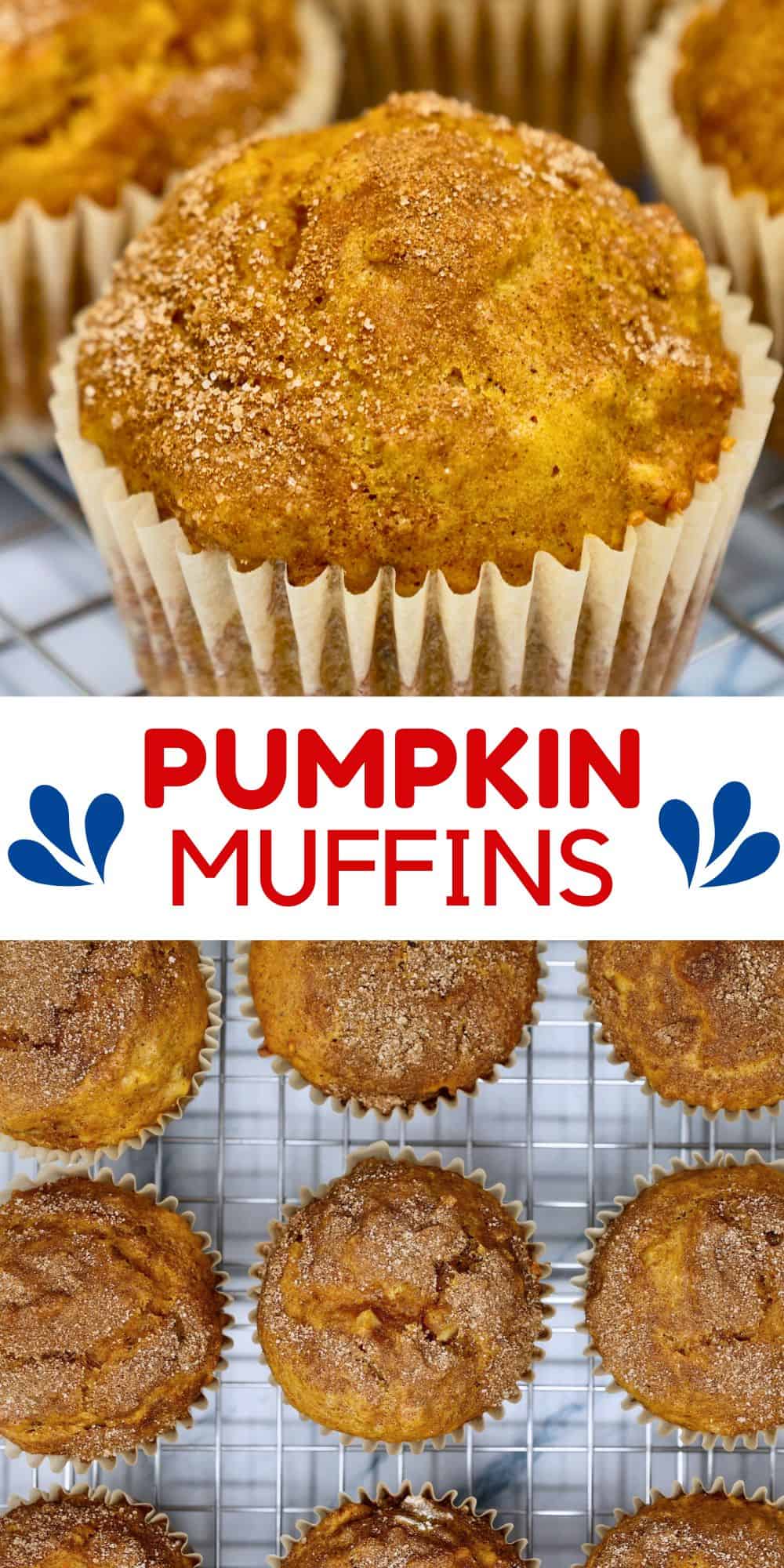 Pumpkin Muffins - Grace Like Rain Blog